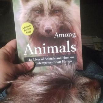 Review: Among Animals – The Lives of Animals and Humans in Contemporary ...